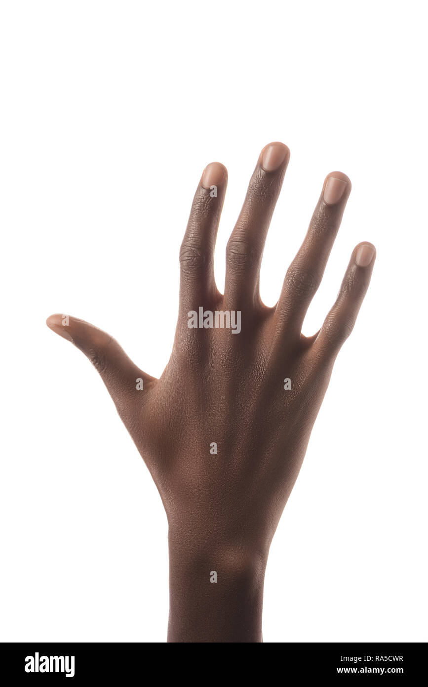 partial view of showing number 5 in sign language isolated on white ...