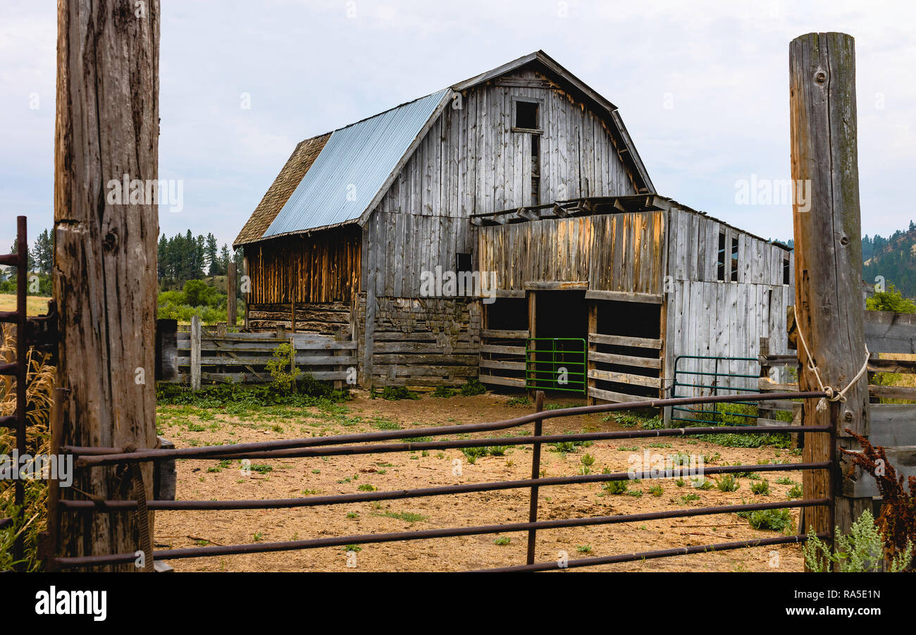 Derelict wooden barn surrounded by fences, gate, and overgrown ...