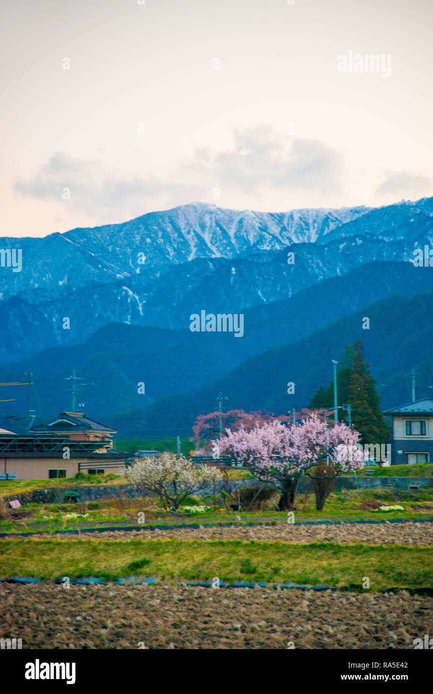 Japan Alps from Nagano side in Japan. Japan Alps is located between Nagano and Toyama ...