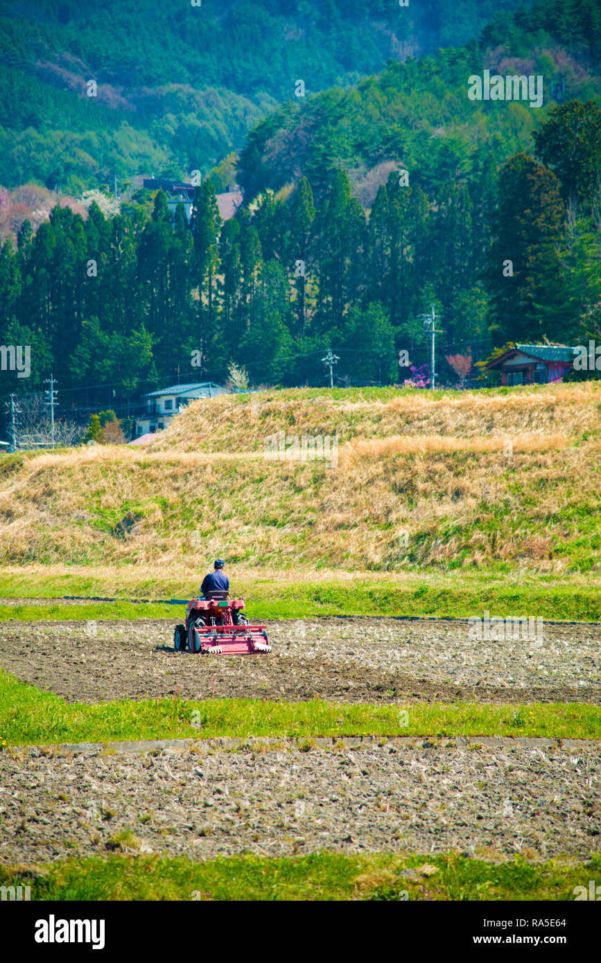 Japanese farmer working for their rice field in the country side of ...