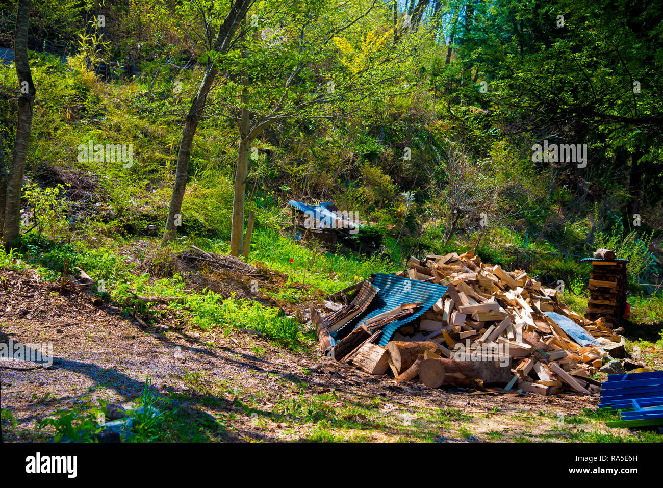 Small nature in Japan Alps. Japan Alps is located between Nagano and ...