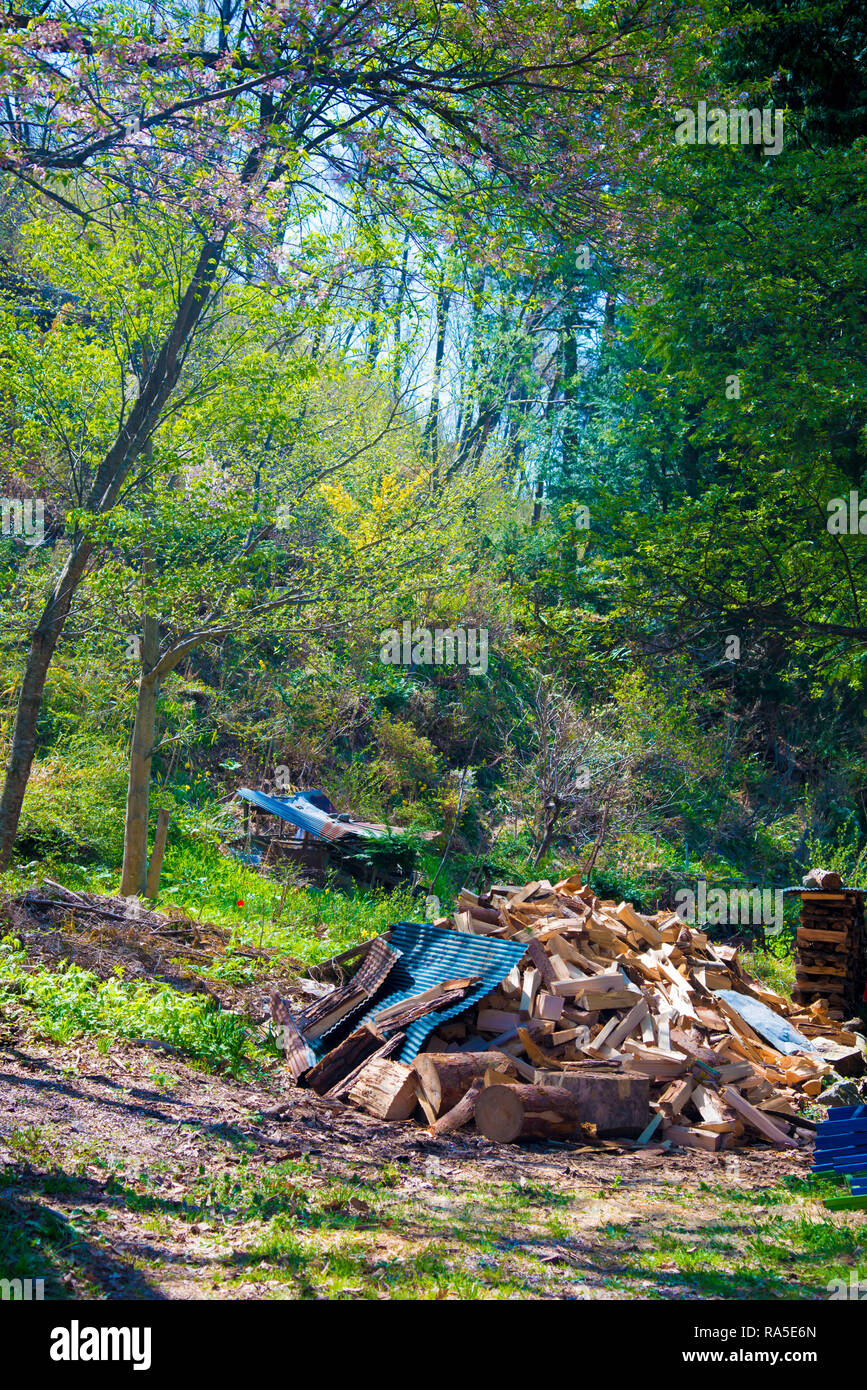 Small nature in Japan Alps. Japan Alps is located between Nagano and ...