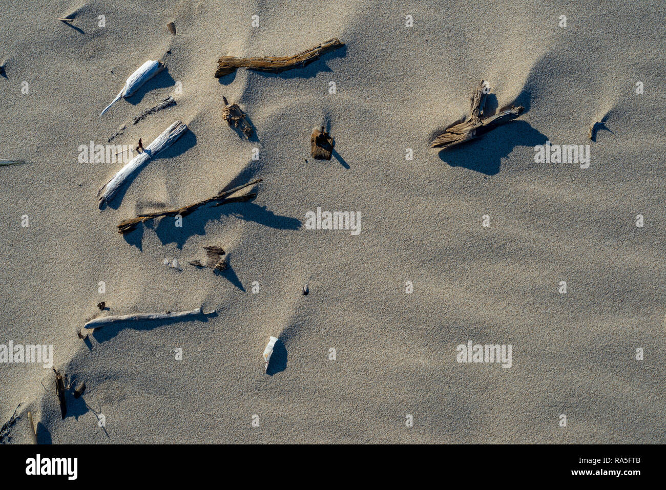sand pattern texture on the beach in cold weather at the Baltic sea ...