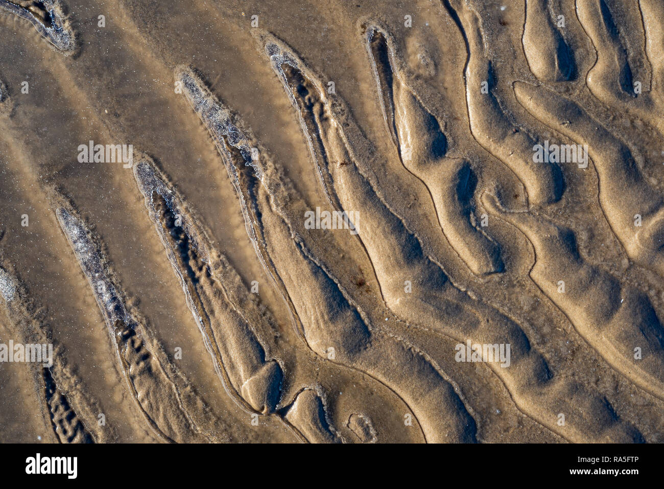 sand pattern texture on the beach in cold weather at the Baltic sea ...