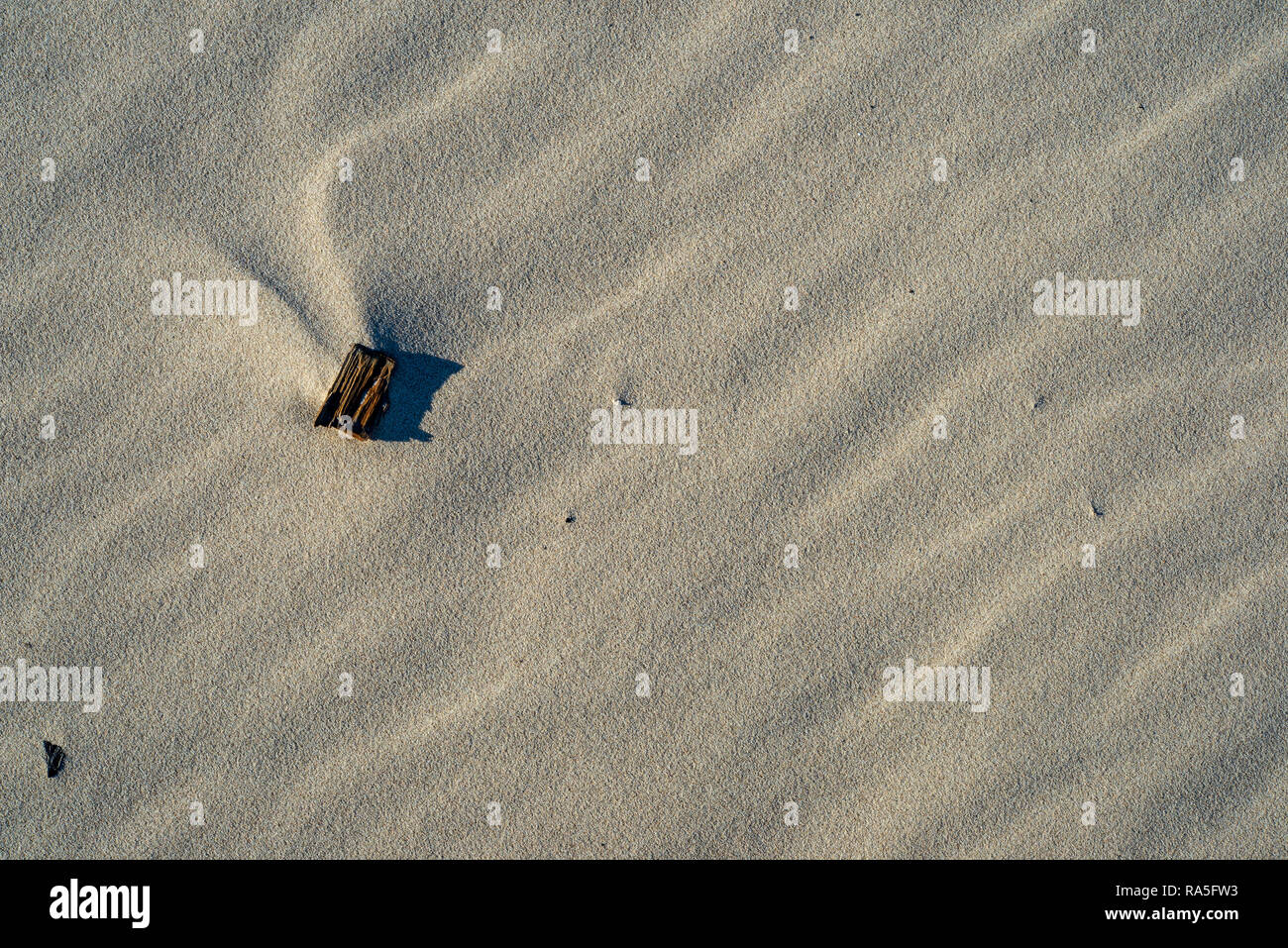 sand pattern texture on the beach in cold weather at the Baltic sea ...