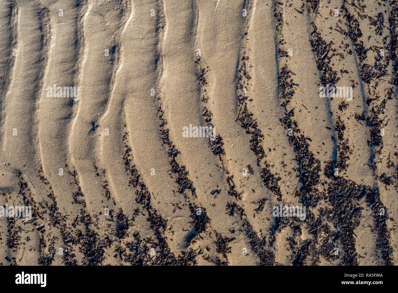 sand pattern texture on the beach in cold weather at the Baltic sea ...