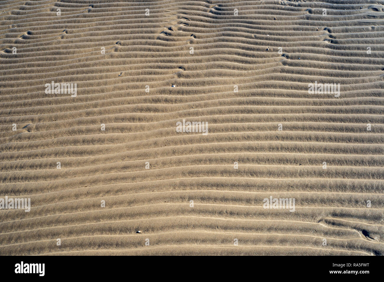 sand pattern texture on the beach in cold weather at the Baltic sea Stock Photo - Alamy
