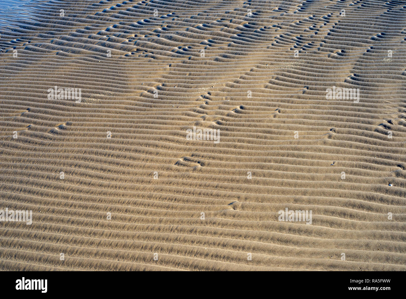 sand pattern texture on the beach in cold weather at the Baltic sea ...