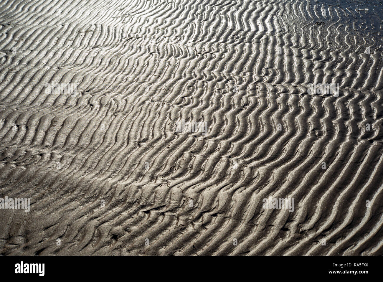 sand pattern texture on the beach in cold weather at the Baltic sea ...