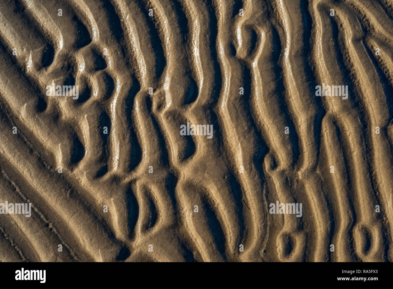 sand pattern texture on the beach in cold weather at the Baltic sea ...