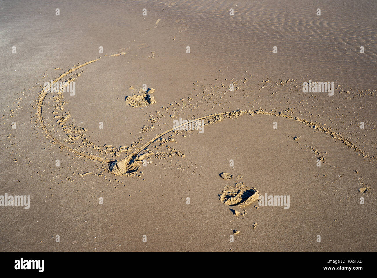 sand pattern texture on the beach in cold weather at the Baltic sea ...