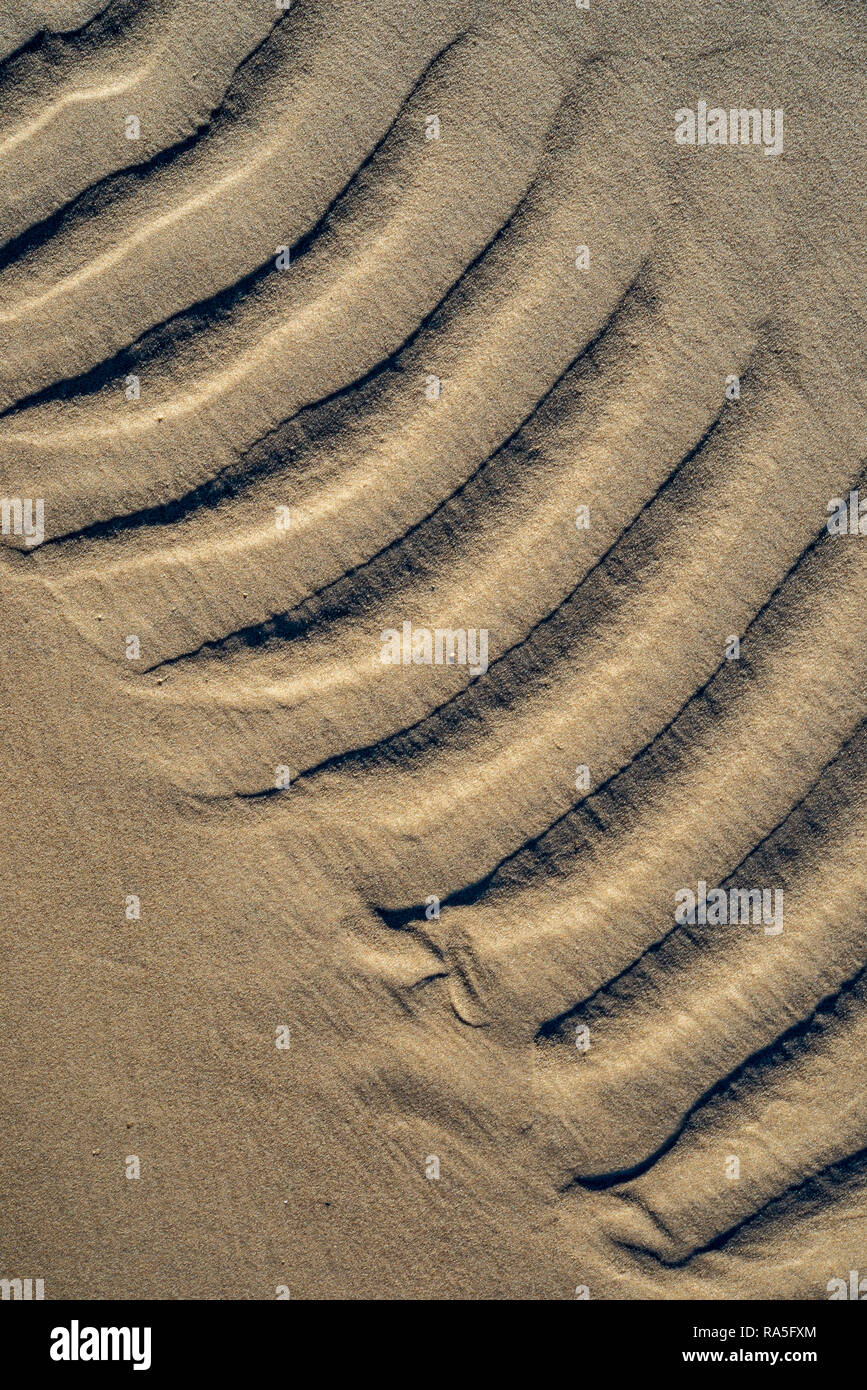 sand pattern texture on the beach in cold weather at the Baltic sea ...