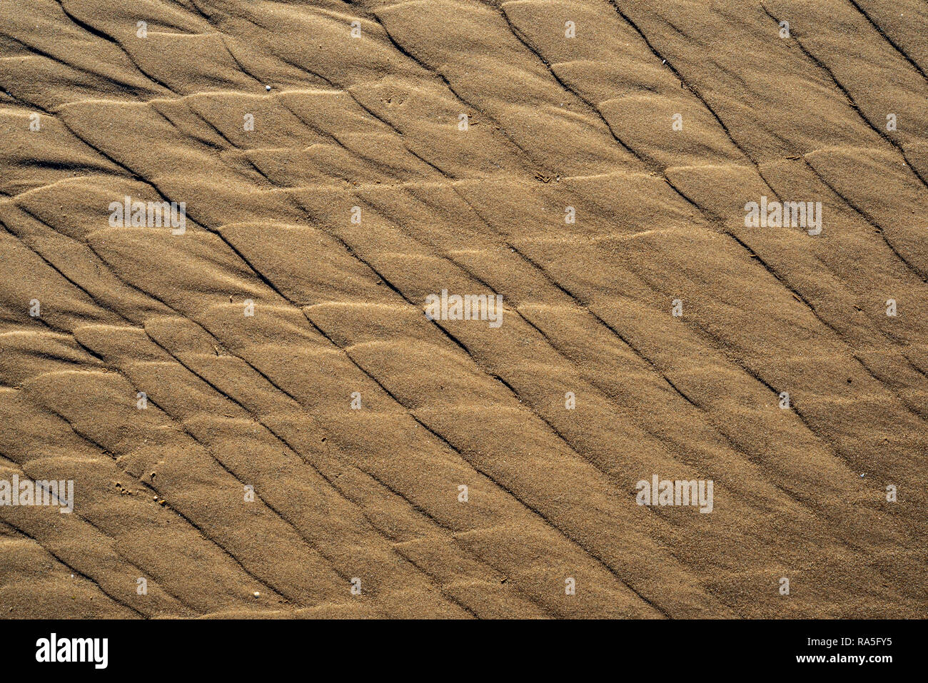 sand pattern texture on the beach in cold weather at the Baltic sea Stock Photo - Alamy