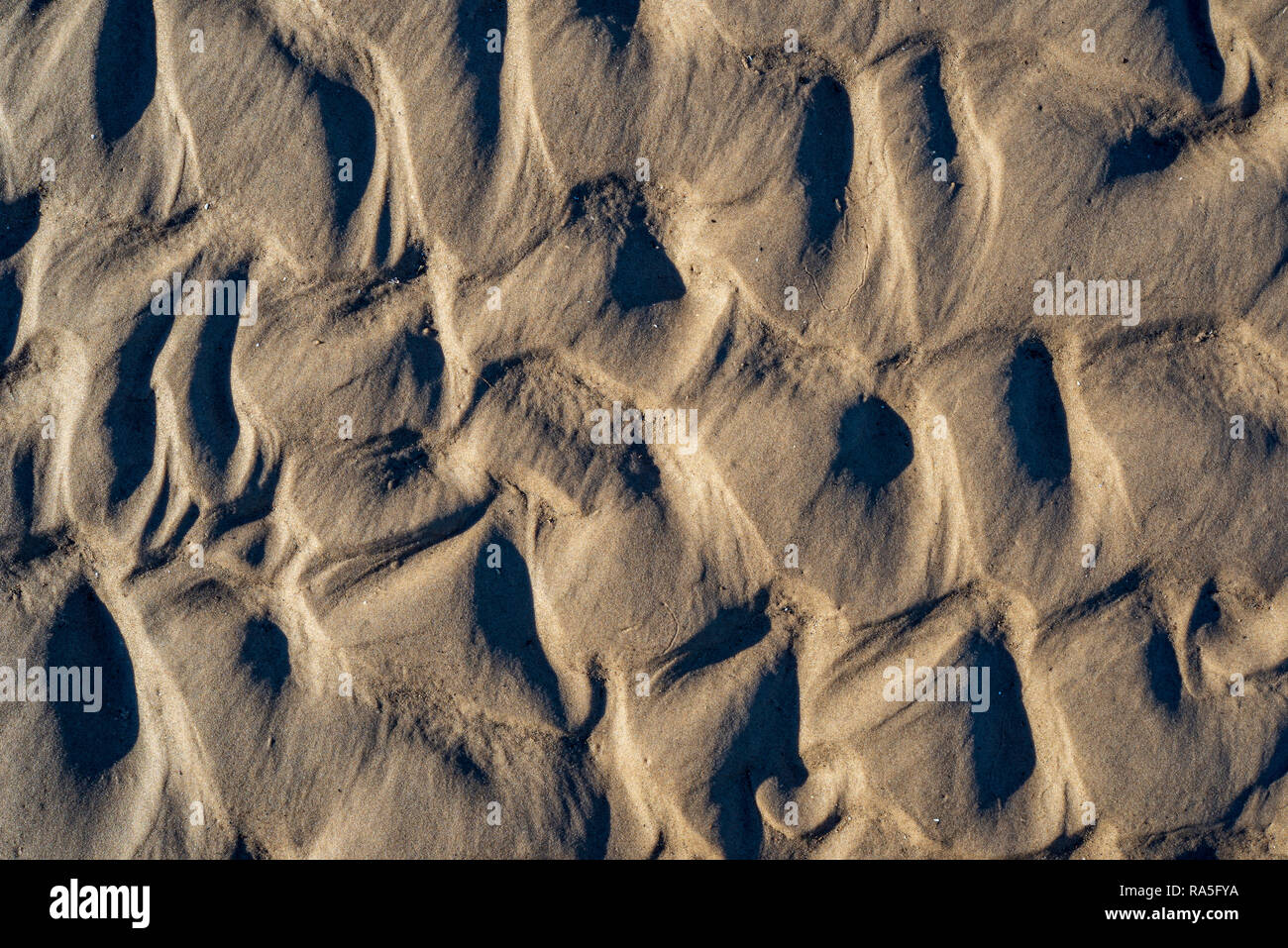 sand pattern texture on the beach in cold weather at the Baltic sea ...