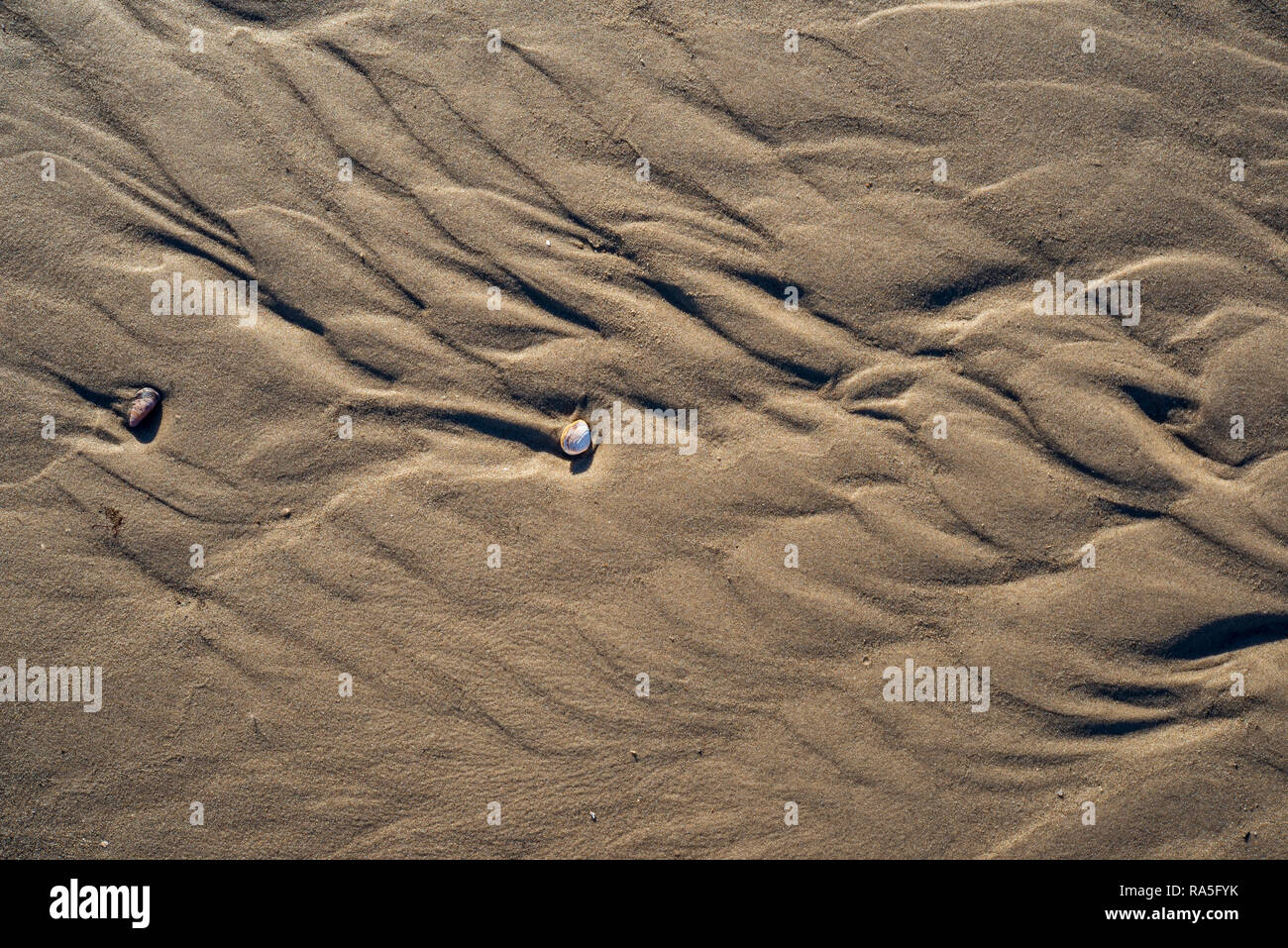 sand pattern texture on the beach in cold weather at the Baltic sea ...