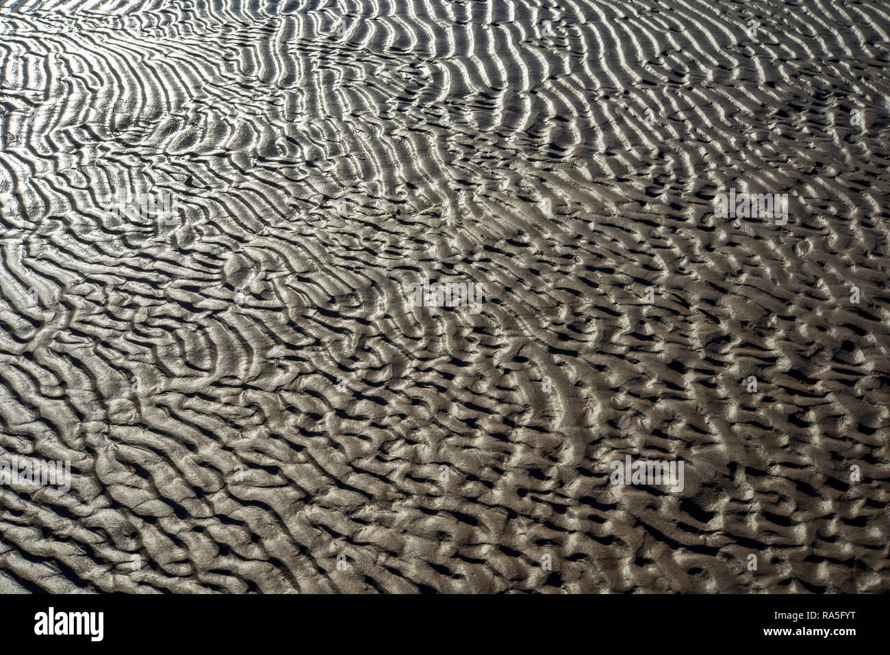 sand pattern texture on the beach in cold weather at the Baltic sea Stock Photo - Alamy