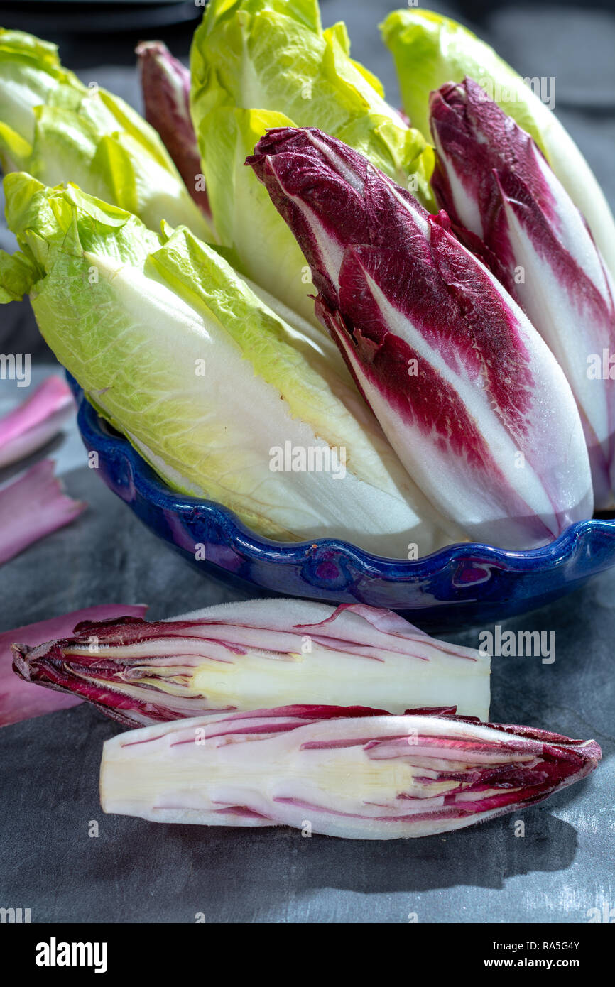 Group of fresh green Belgian endive or chicory and red Radicchio ...