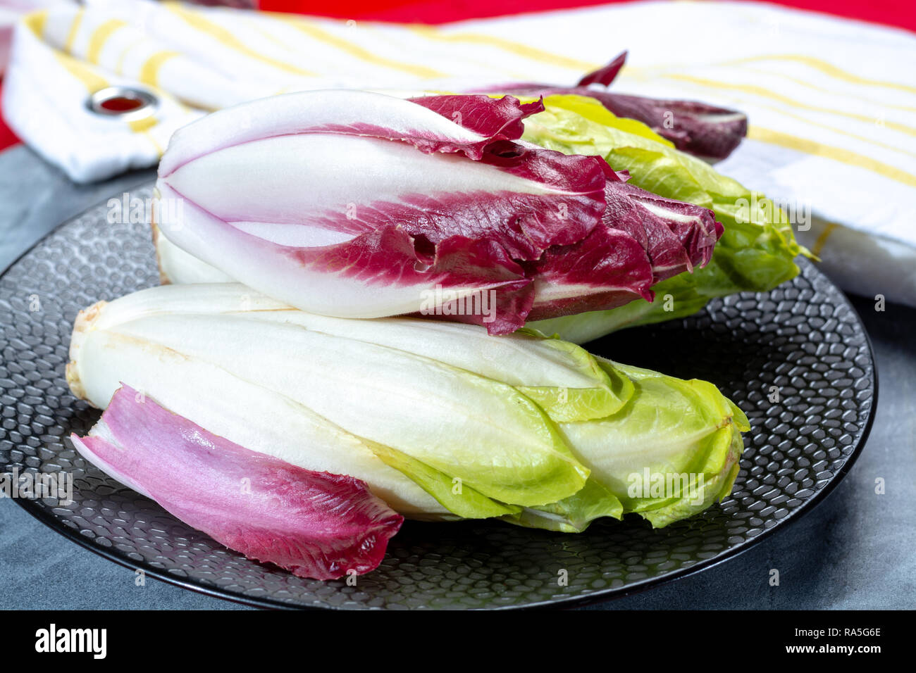 Group of fresh green Belgian endive or chicory and red Radicchio ...
