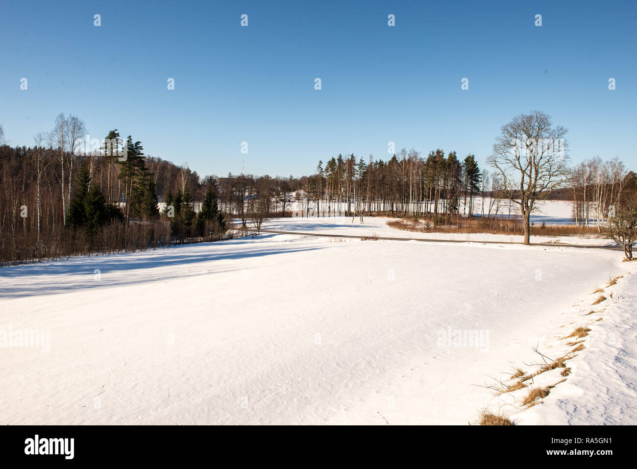 snow covered winter road with tire tracks in perspective with blue sky ...