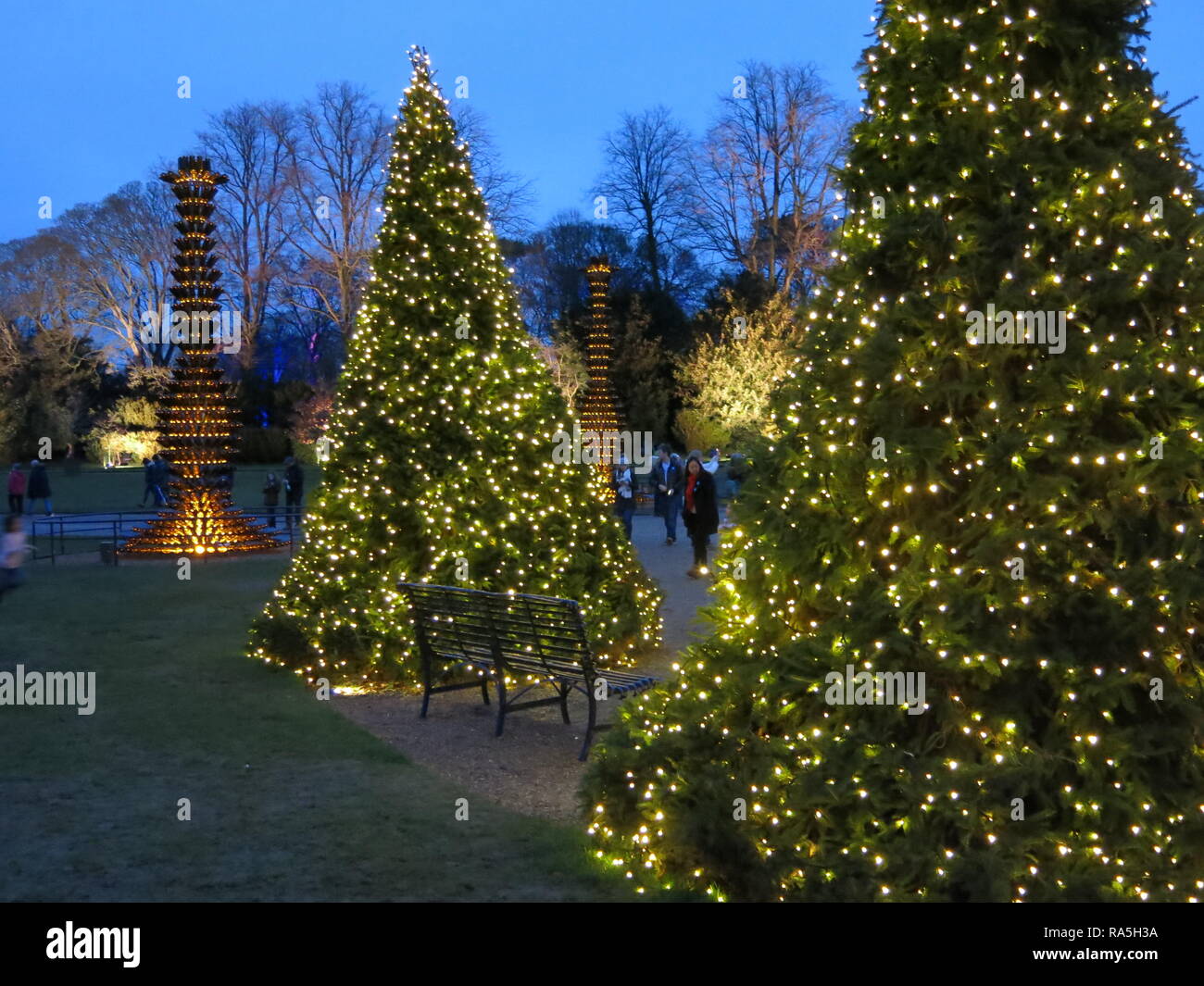 Large fir trees & statues are illuminated with fairy lights as part of ...