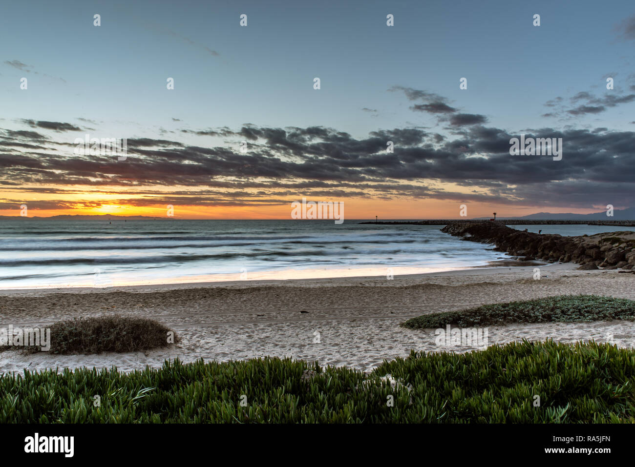 Ice plant growth at edge of beach sand leading from Pacific Ocean out ...
