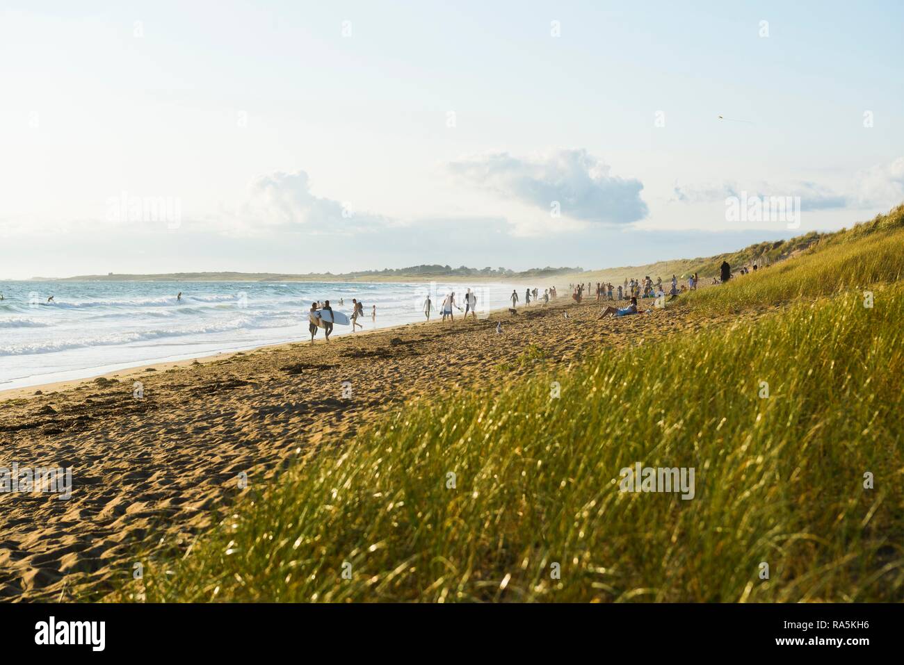 Beach, Quiberon Peninsula, Brittany, France Stock Photo - Alamy