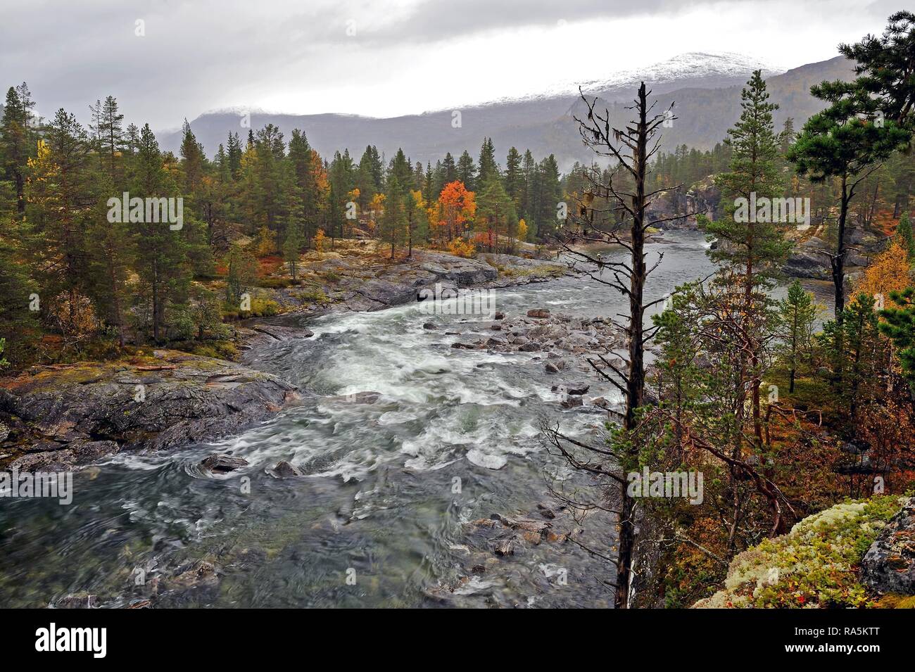 Rauma norway hi-res stock photography and images - Alamy