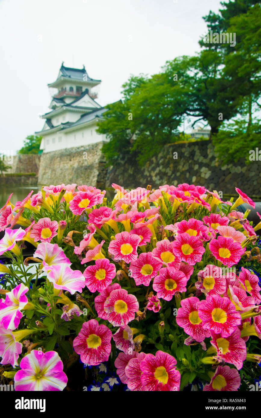 Toyama castle in Toyama, Japan. Japan is a country located in the East ...