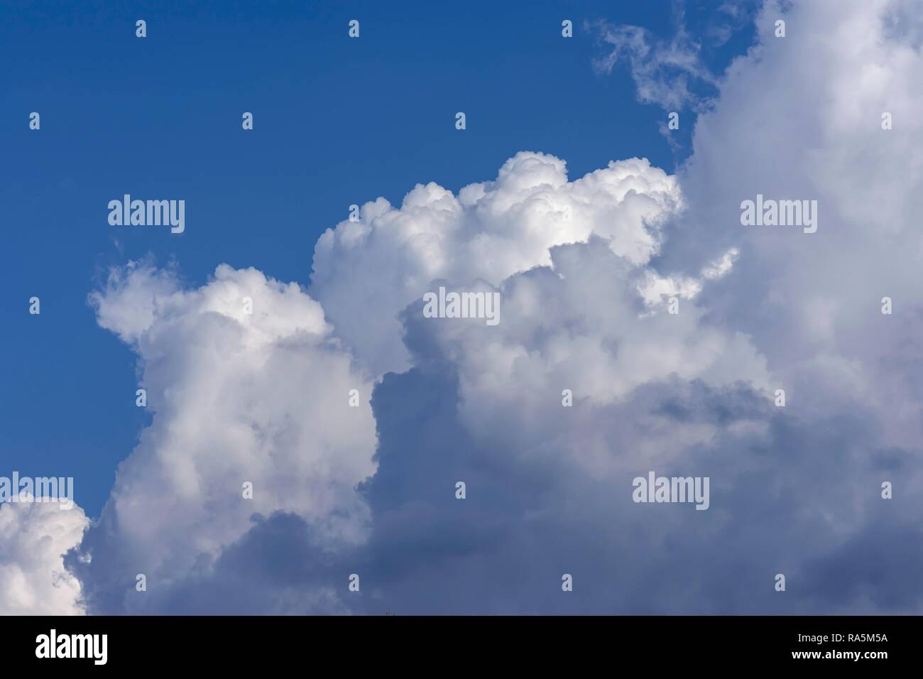 Cumulus clouds (Cumulus), blue sky, Germany Stock Photo - Alamy