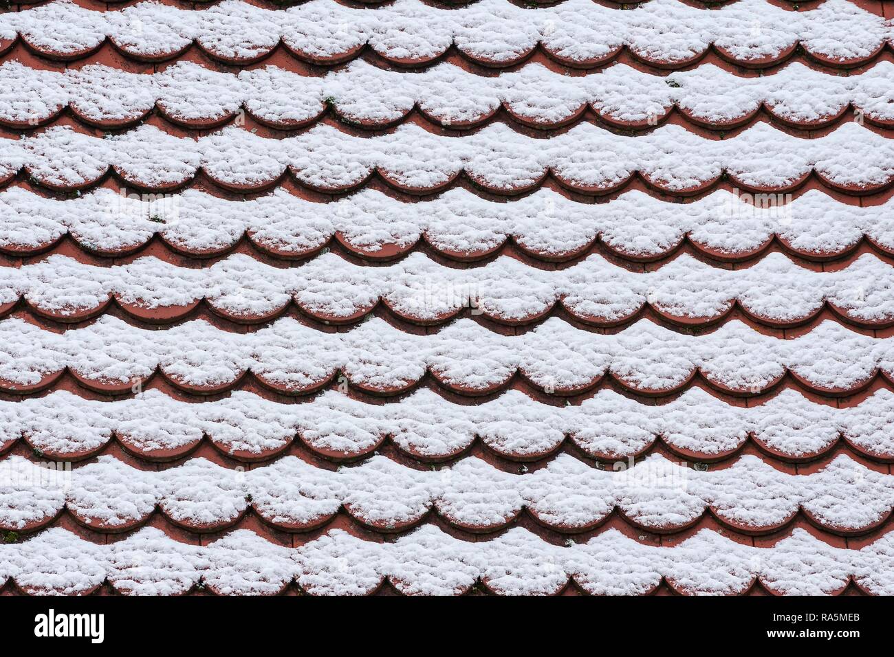 Snowy Roof Texture