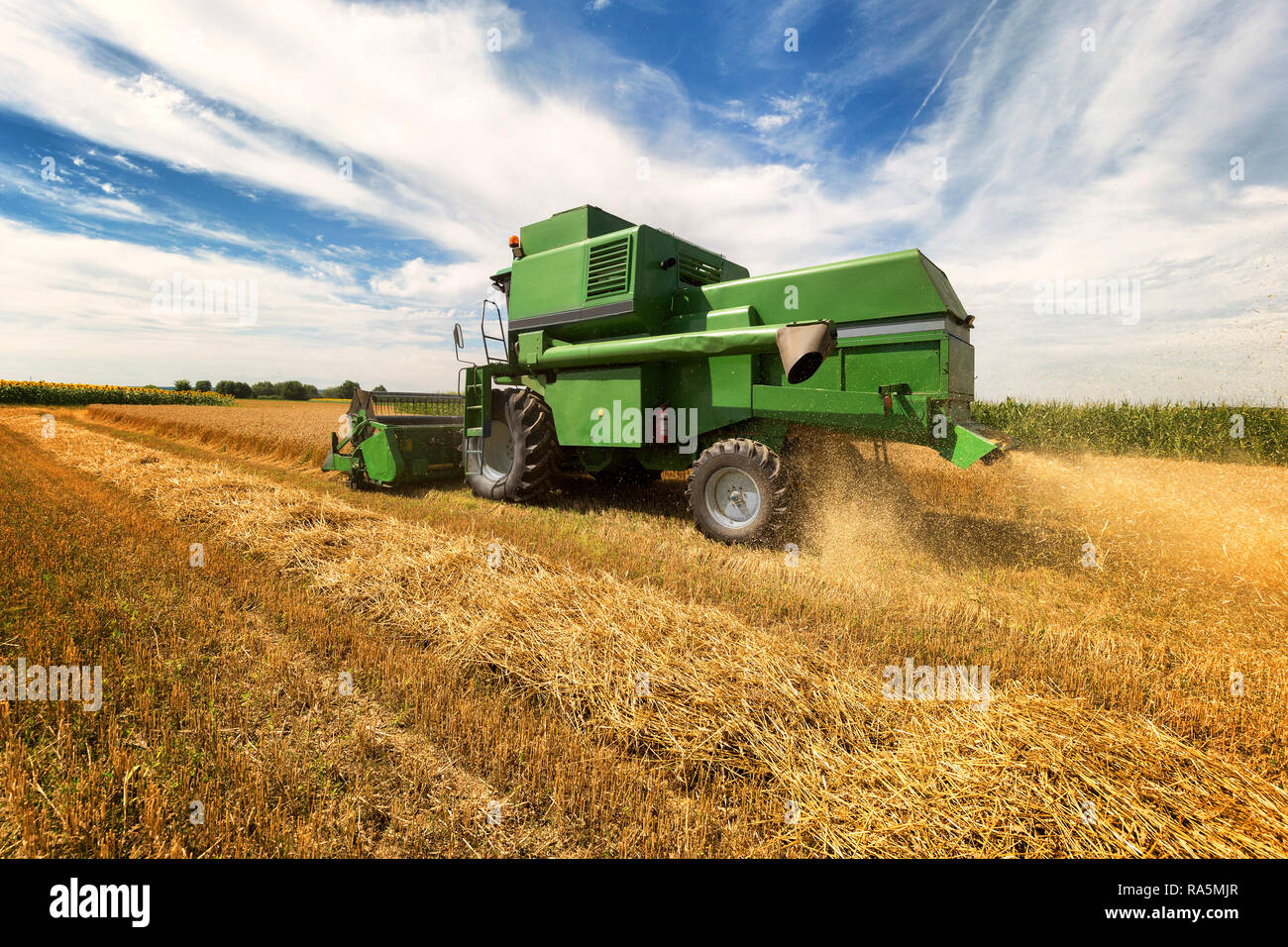 Farm wheat harvesting hi-res stock photography and images - Alamy