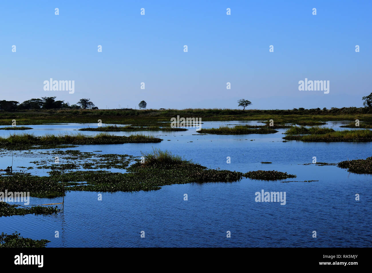 Amazing wide view of lake and greenery with beautiful blue sky Stock ...