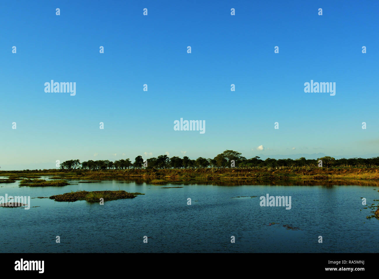 Amazing wide view of lake and greenery with beautiful blue sky Stock ...