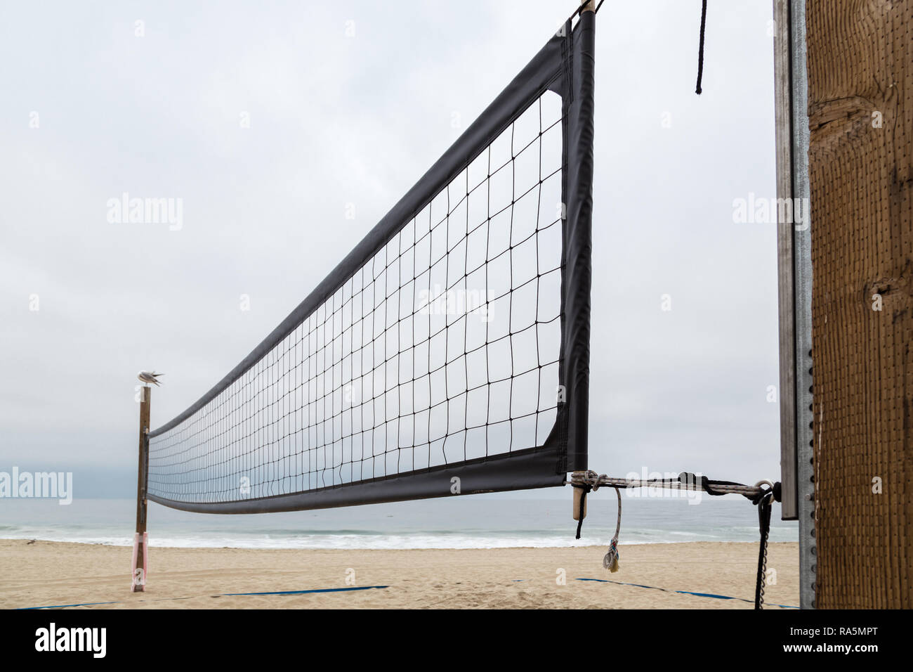 The Volleyball Net Stock Photo - Alamy