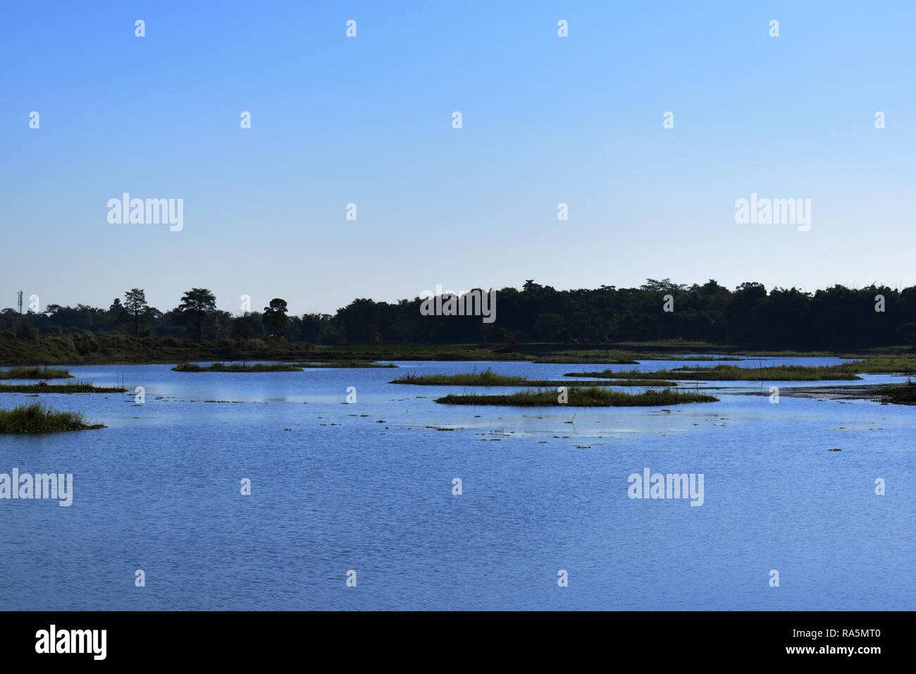 Greenery view hi-res stock photography and images - Alamy