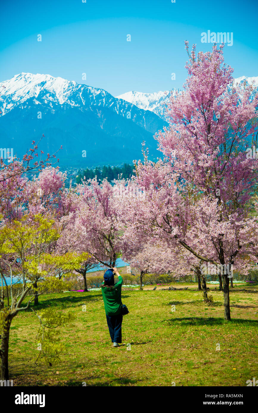 Japan Alps from Nagano side in Japan. Japan Alps is located between ...