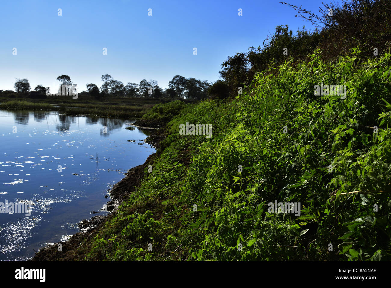 Beautiful lake environment hi-res stock photography and images - Alamy