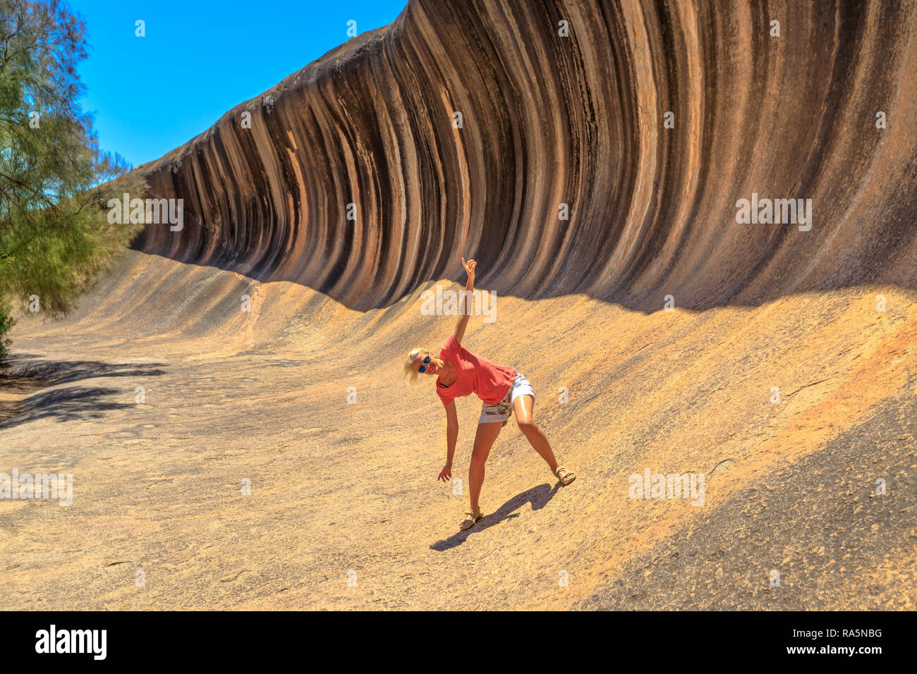 Surfing with wildlife hi-res stock photography and images - Alamy