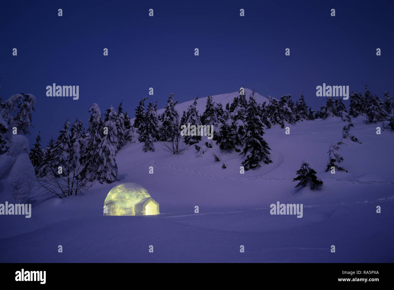 Night winter landscape with igloo snow. Adventure outdoors. Camping ...