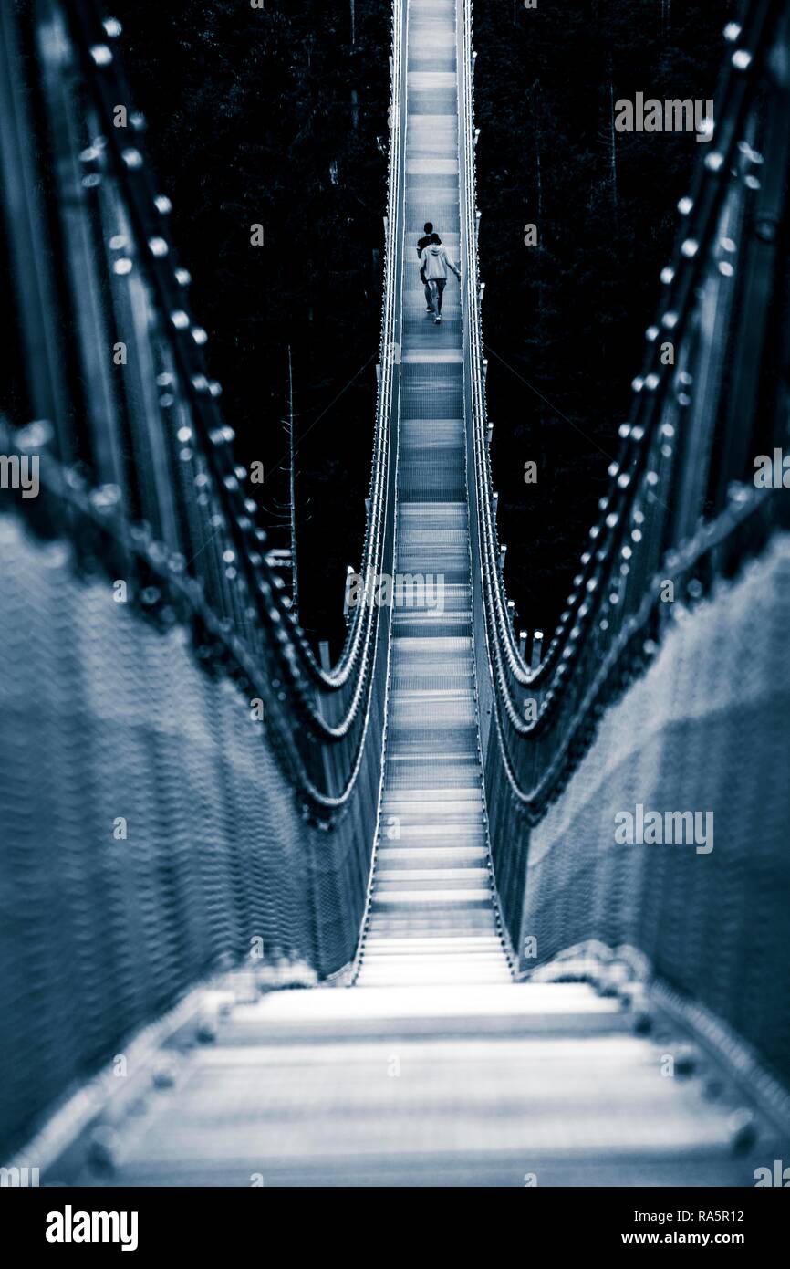 Suspension bridge Highline 179, Reutte, Tyrol, Austria Stock Photo - Alamy