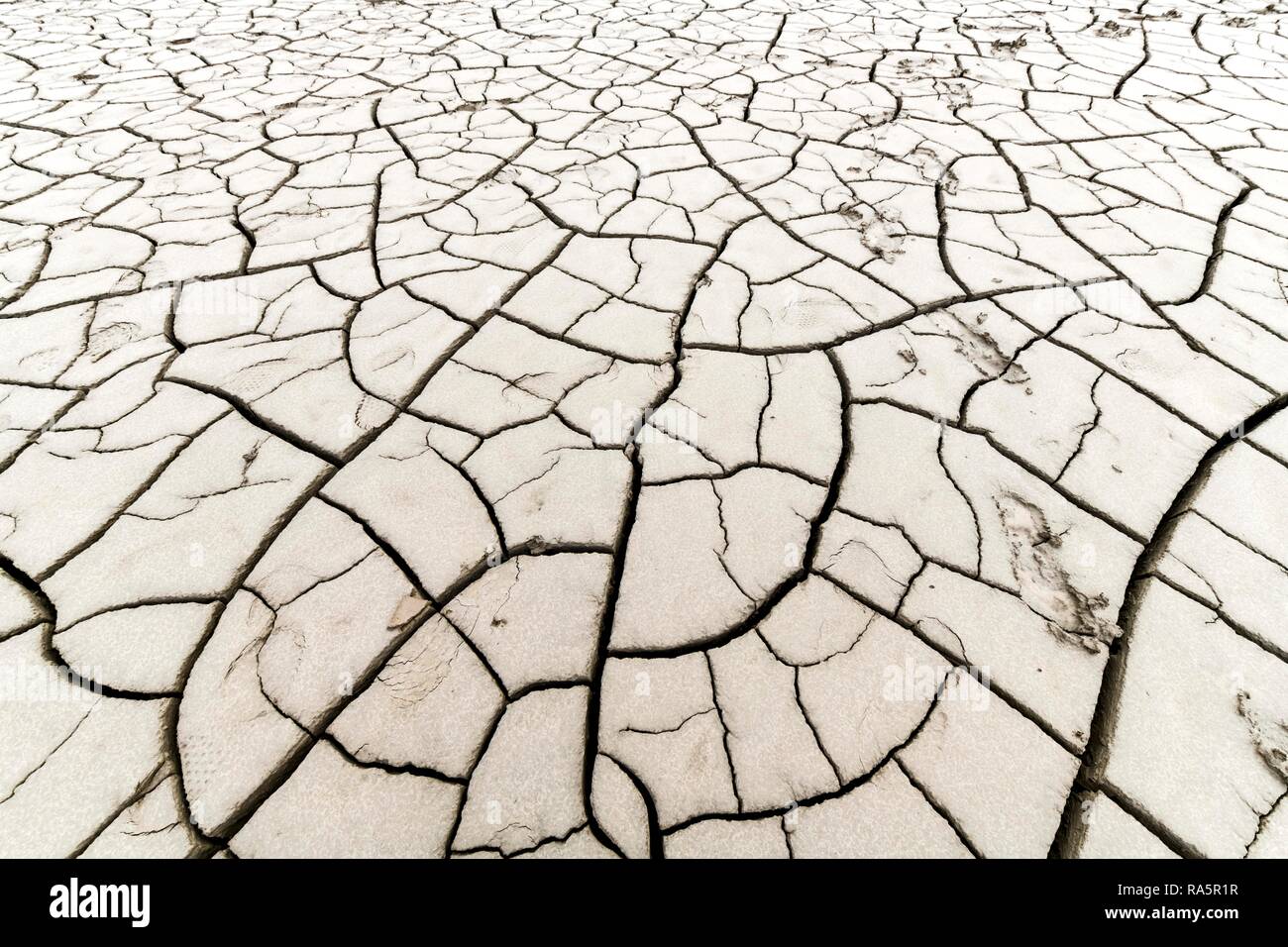 Cracked, dried out soil, Forggensee, Füssen, Ostallgäu, Bavaria ...