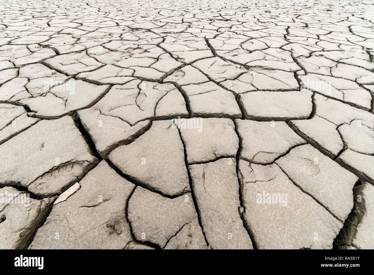 Cracked, dried out soil, Forggensee, Füssen, Ostallgäu, Bavaria ...