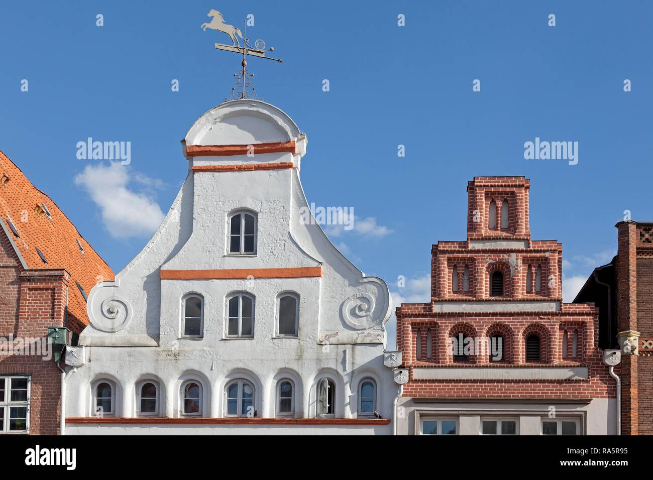 Dutch lower house hi-res stock photography and images - Alamy