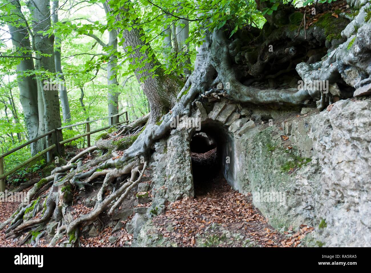 Roman Canal High Resolution Stock Photography and Images - Alamy