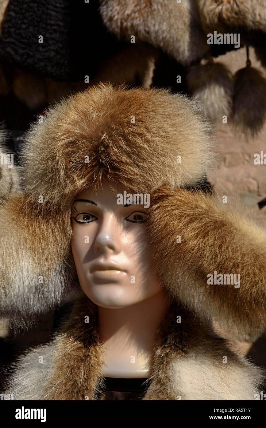 Kala head hi-res stock photography and images - Alamy