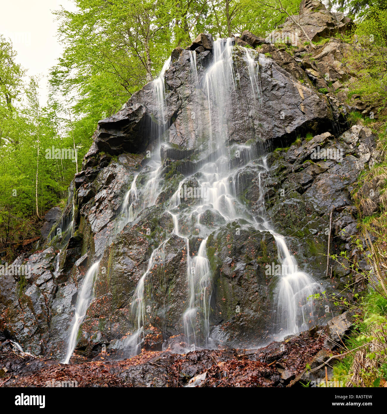 Radau waterfall harzburg hi-res stock photography and images - Alamy