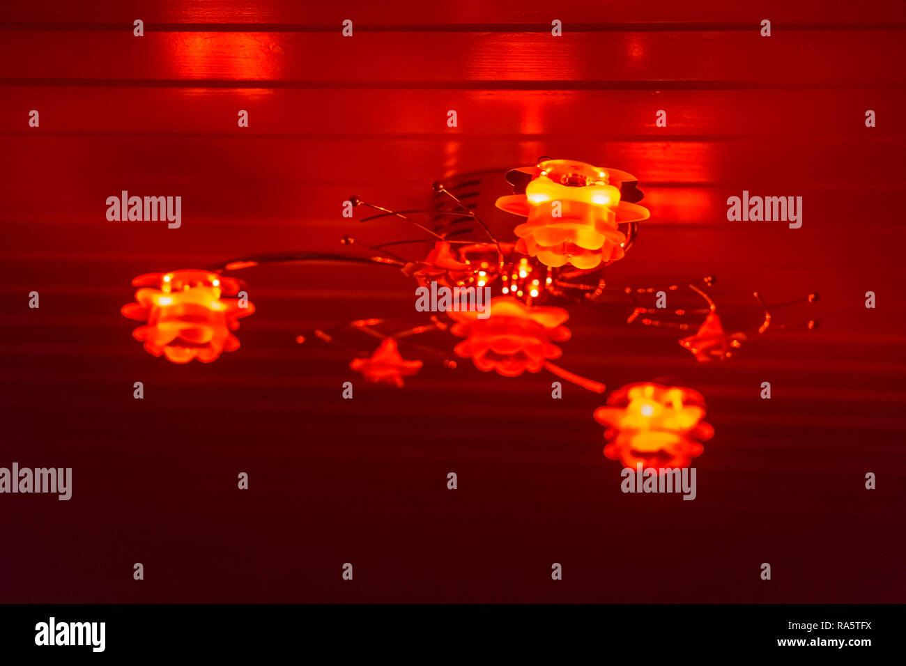 Modern ceiling lamp decorated with roses, shining red light in the dark ...