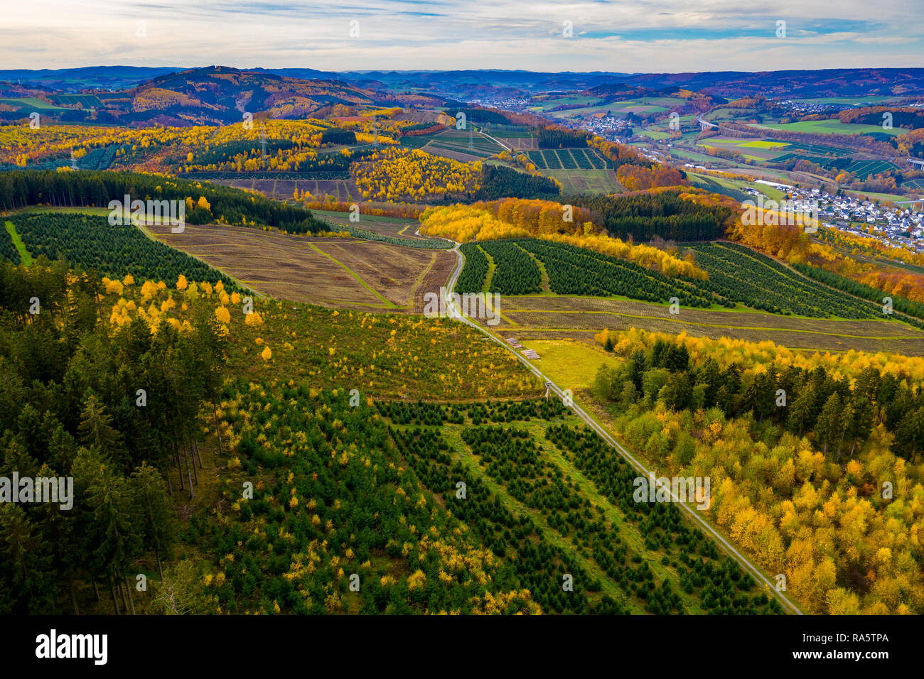Autumn forest in Sauerland area, North Rhine-Westphalia,Germany, near ...