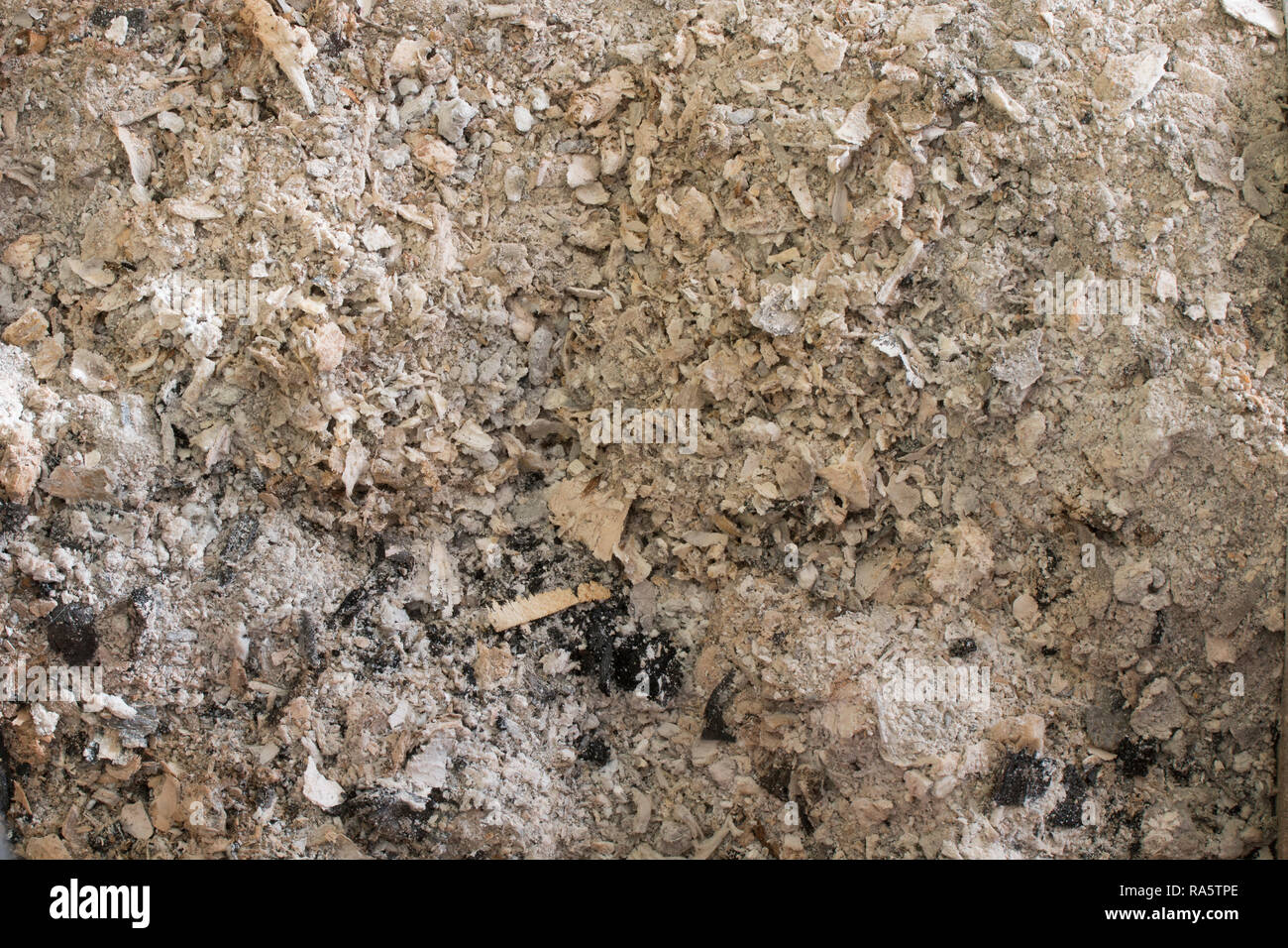 Ash gray soil hi-res stock photography and images - Alamy