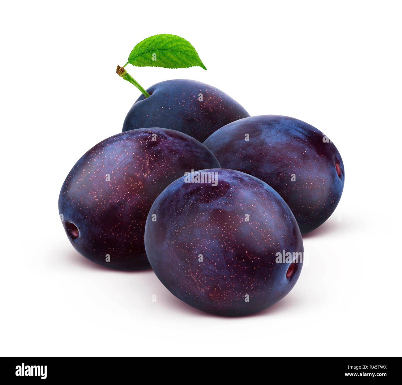 Whole plums isolated on white background Stock Photo - Alamy